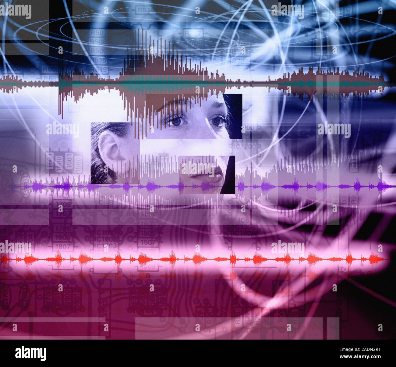 Voice recognition. Conceptual computer artwork of voice patterns ...