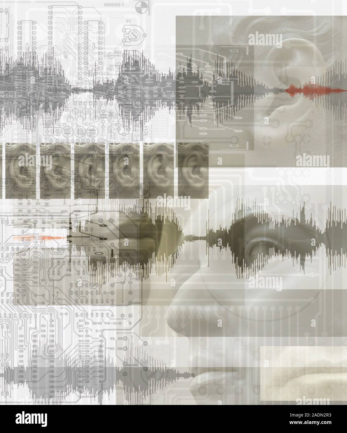 Voice recognition. Conceptual computer artwork of voice patterns (jagged waveforms), a circuit ...