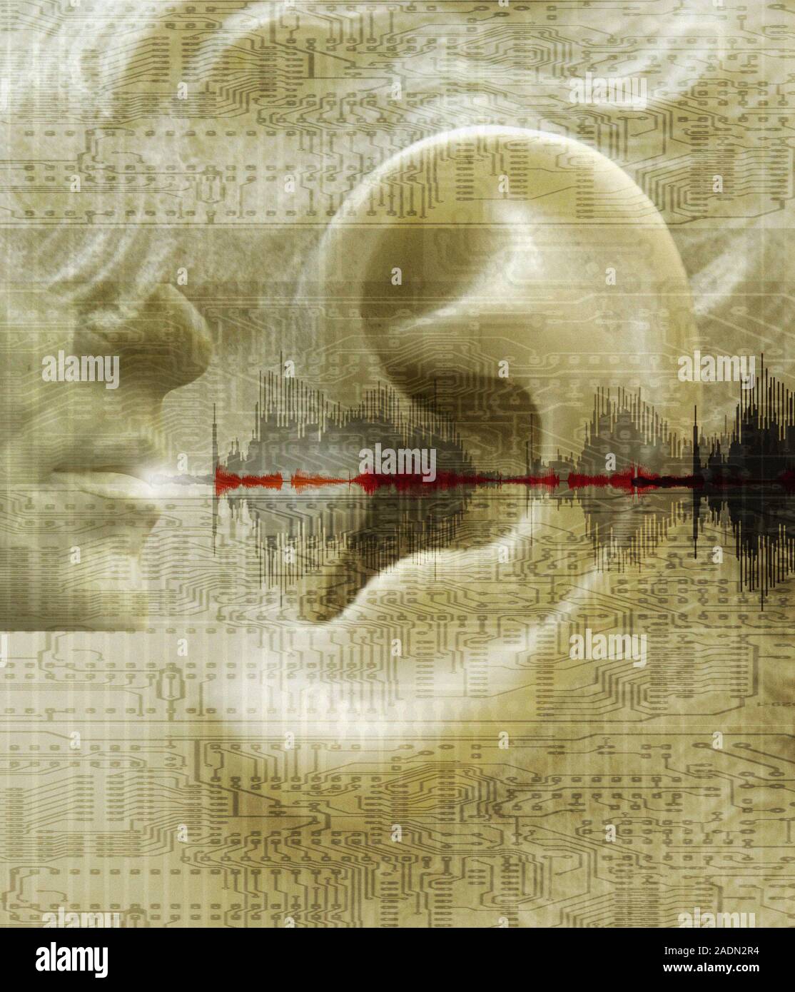 Voice recognition. Conceptual computer artwork of voice patterns (jagged waveforms), a circuit ...