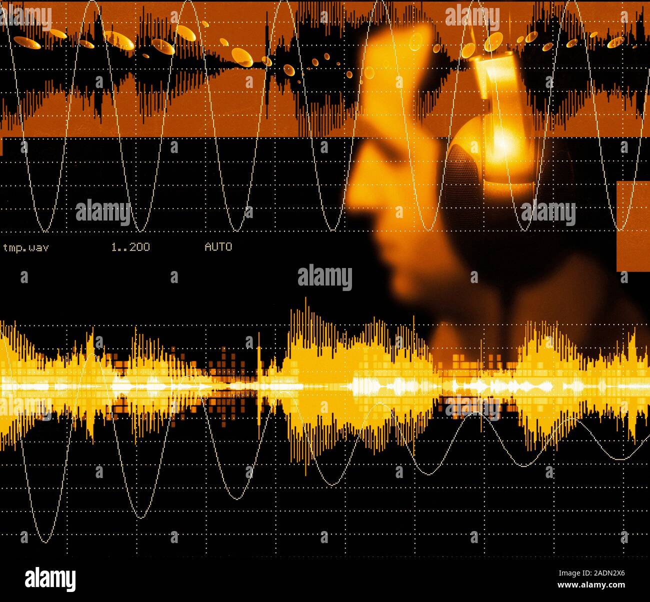 Voice recognition. Conceptual computer artwork of voice patterns (waveforms, yellow ...