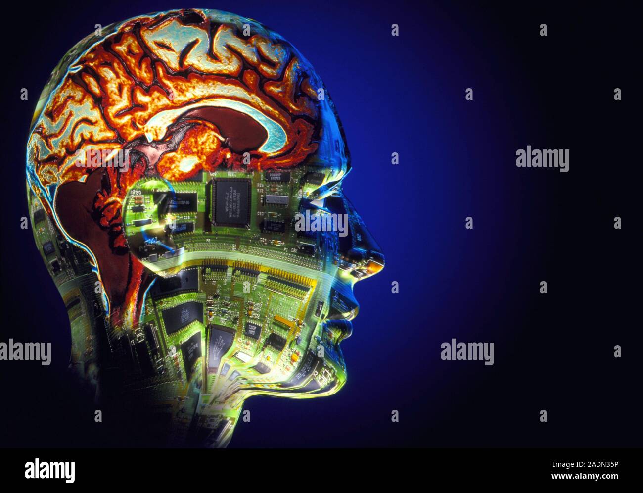 Artificial intelligence. Conceptual computer artwork representing ...