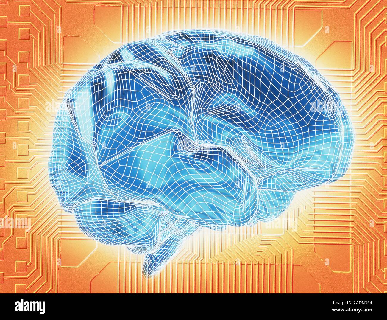 Artificial intelligence. Conceptual computer artwork of a human brain ...