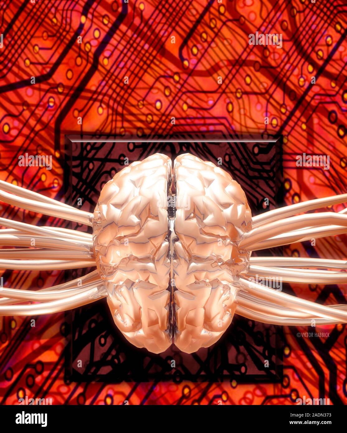 Artificial intelligence. Conceptual computer artwork of a human brain ...