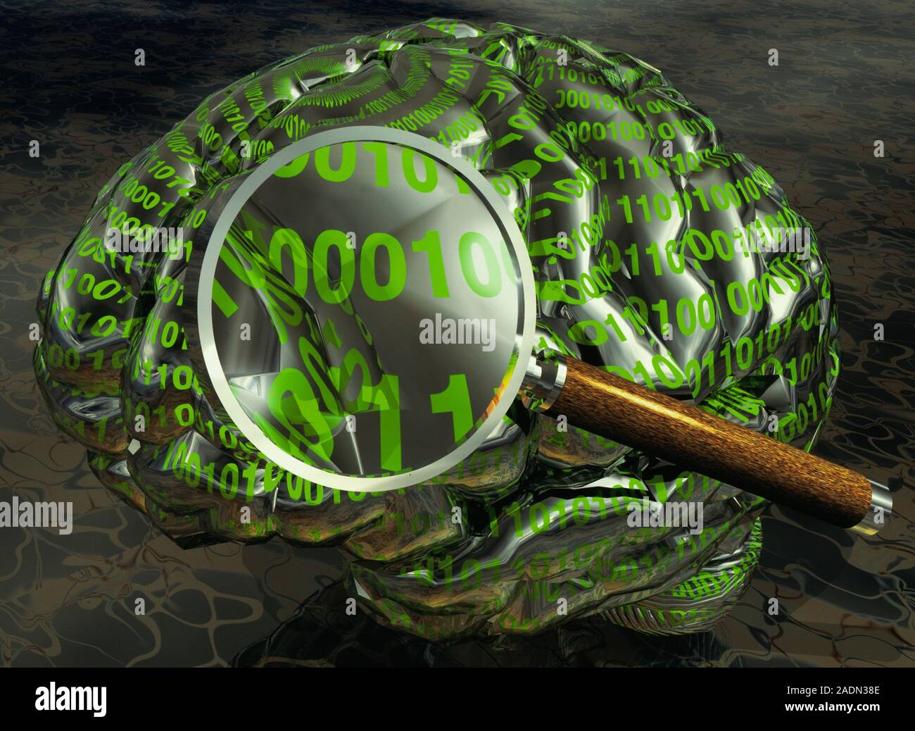 Digital brain. Conceptual computer artwork of a virtual human brain ...