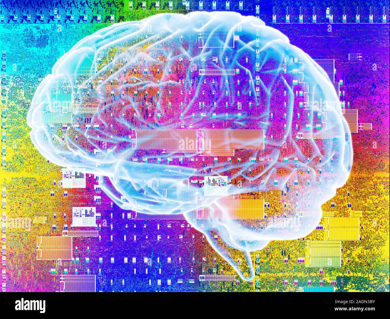 Artificial intelligence. Conceptual computer artwork of a human brain ...