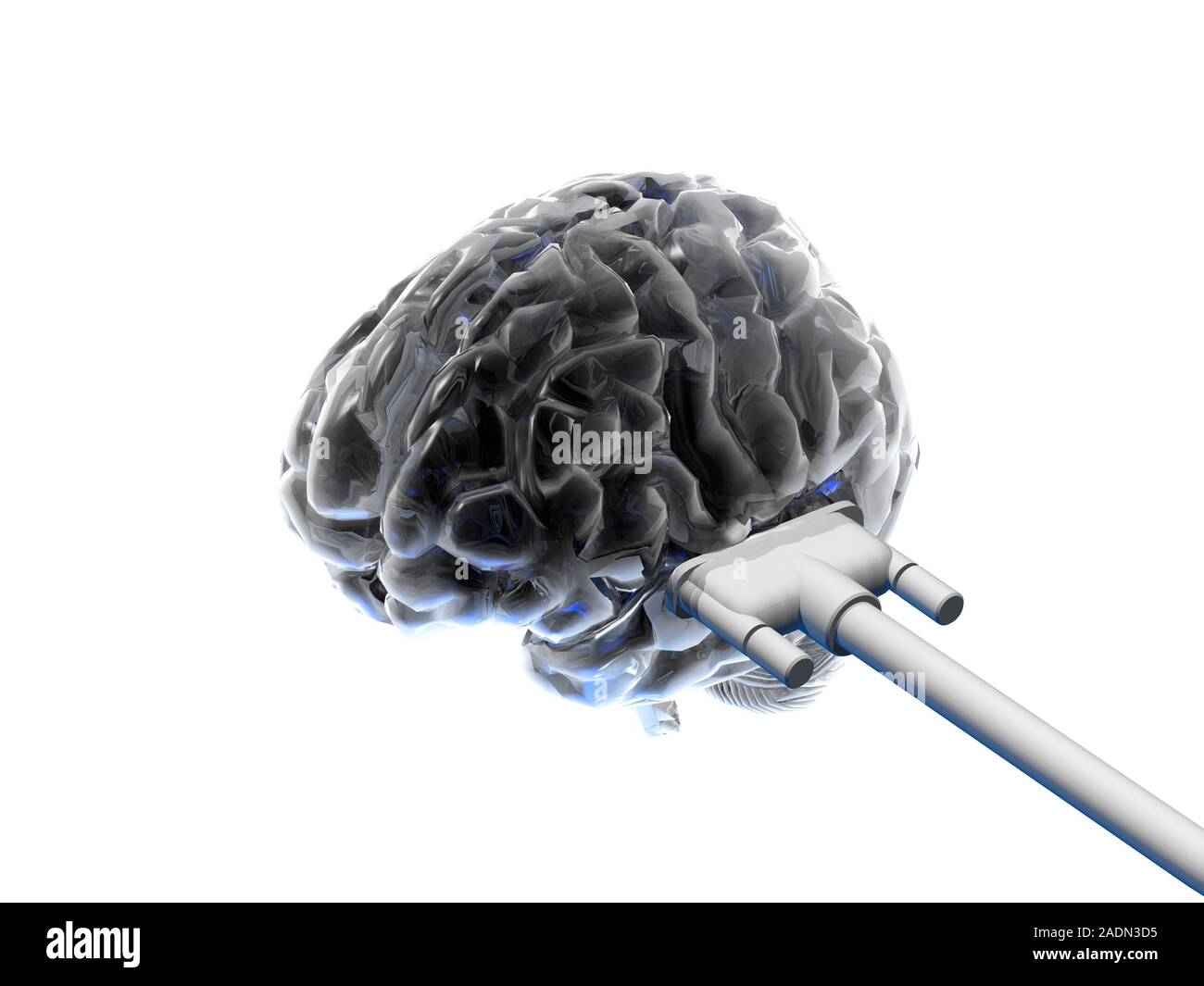 Artificial intelligence. Conceptual computer artwork of a brain with a ...