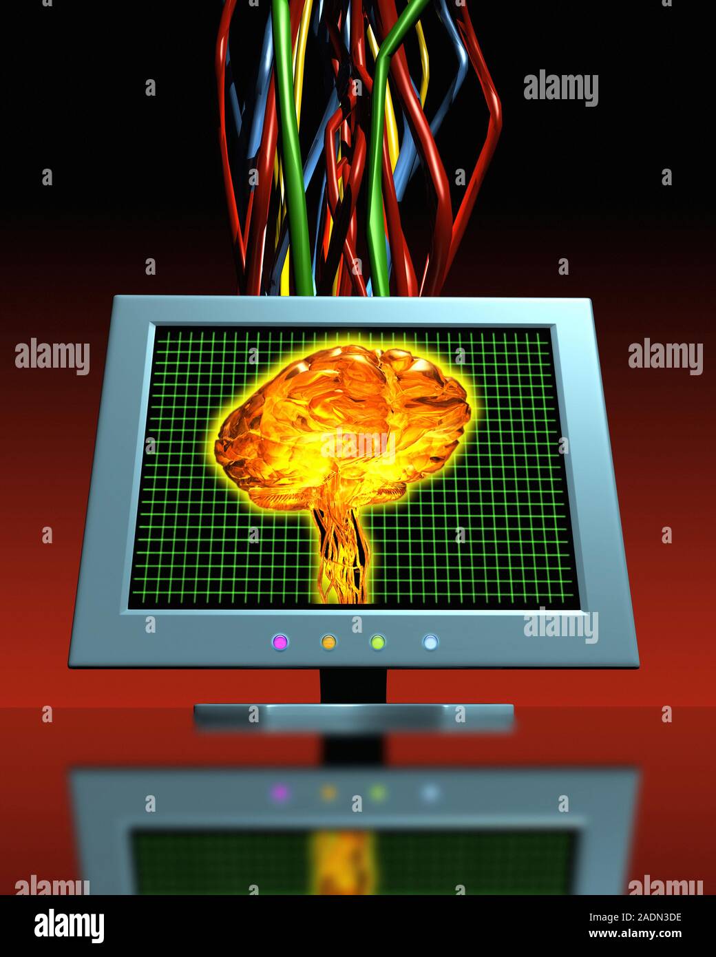 Artificial intelligence. Computer artwork of a human brain displayed on ...