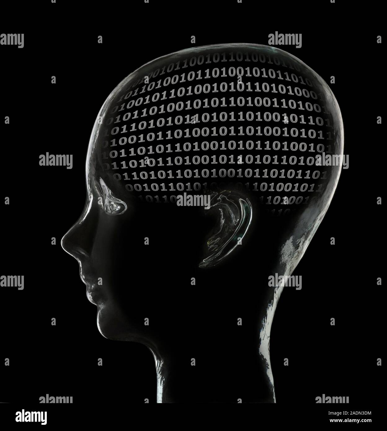 Artificial intelligence, conceptual image. Binary code inside a model ...
