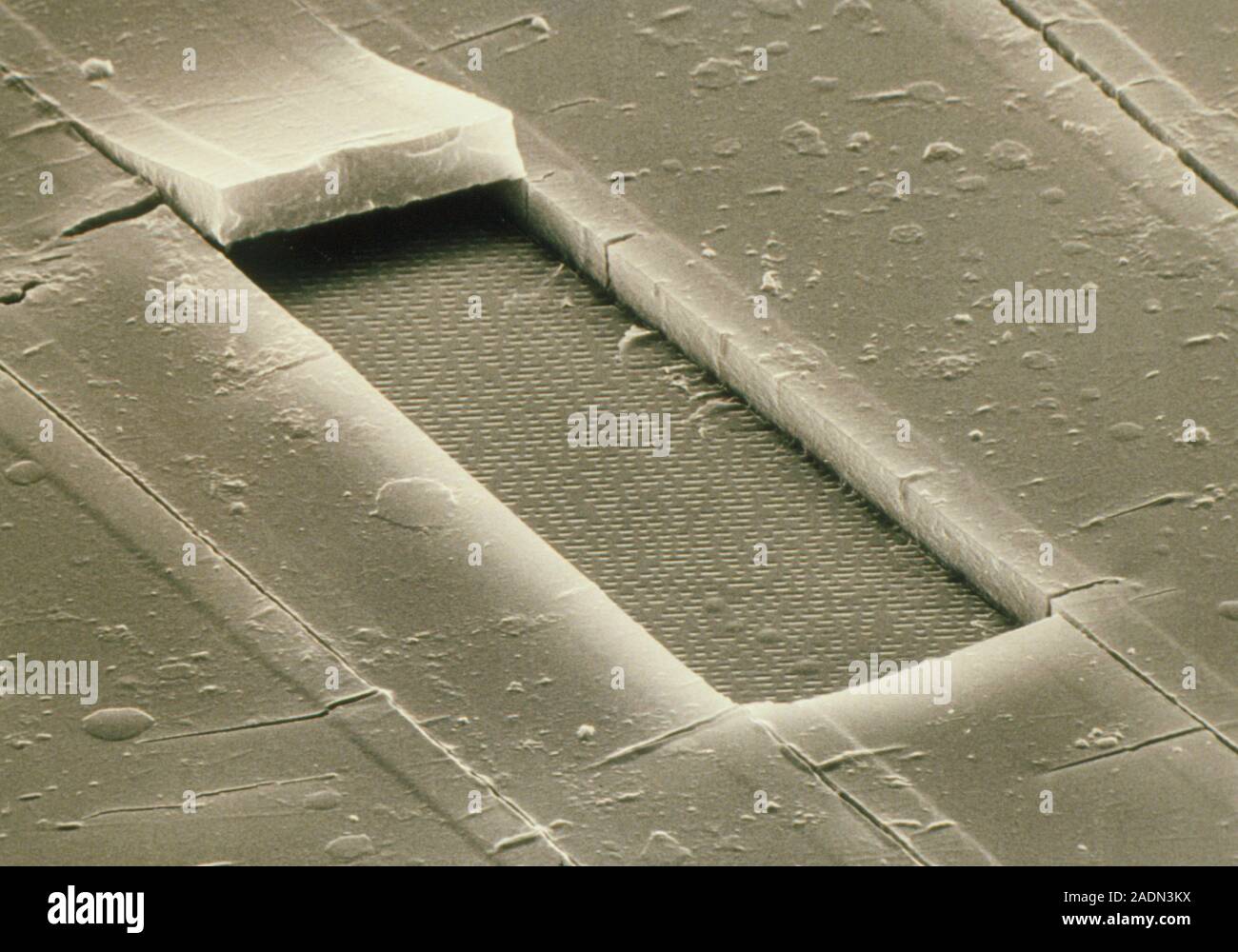 Scanning electron micrograph of the surface of a compact disc cracked ...