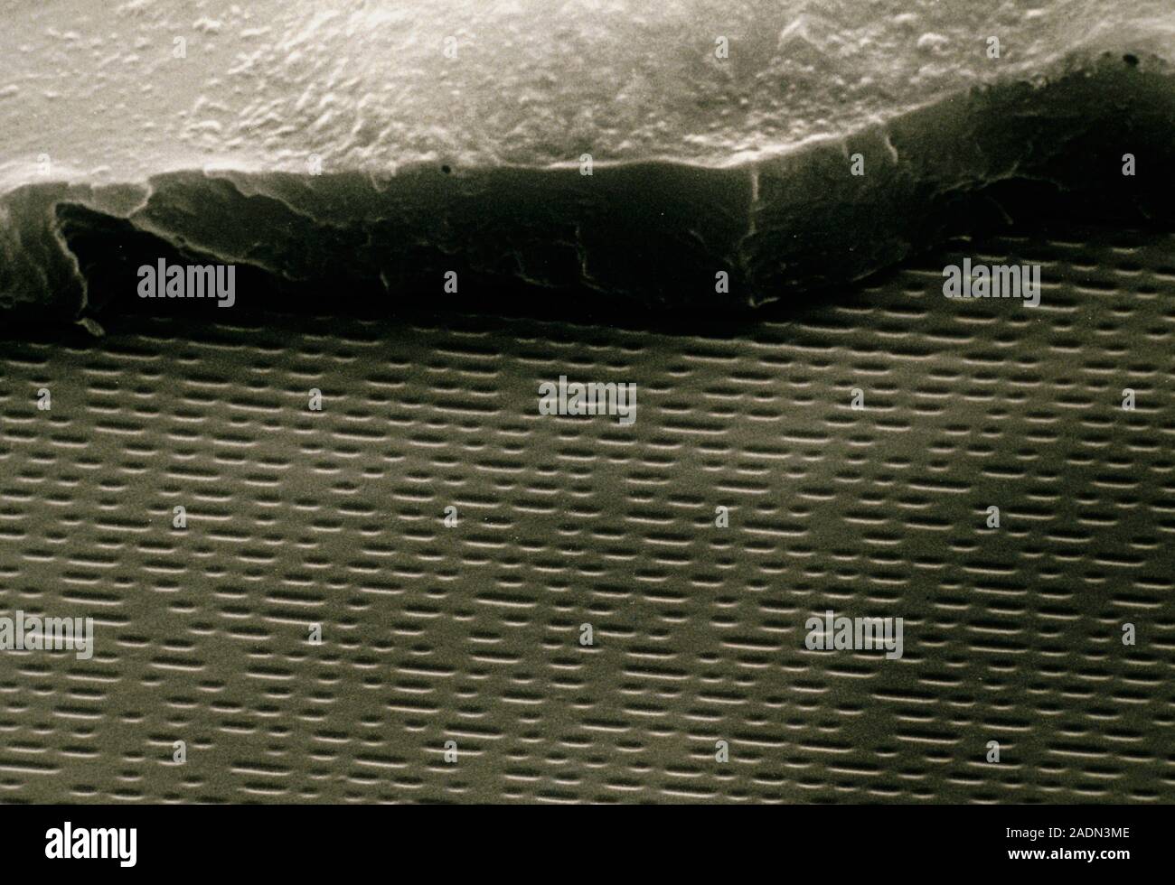 Scanning electron micrograph (edge on) of a compact disc cracked to ...