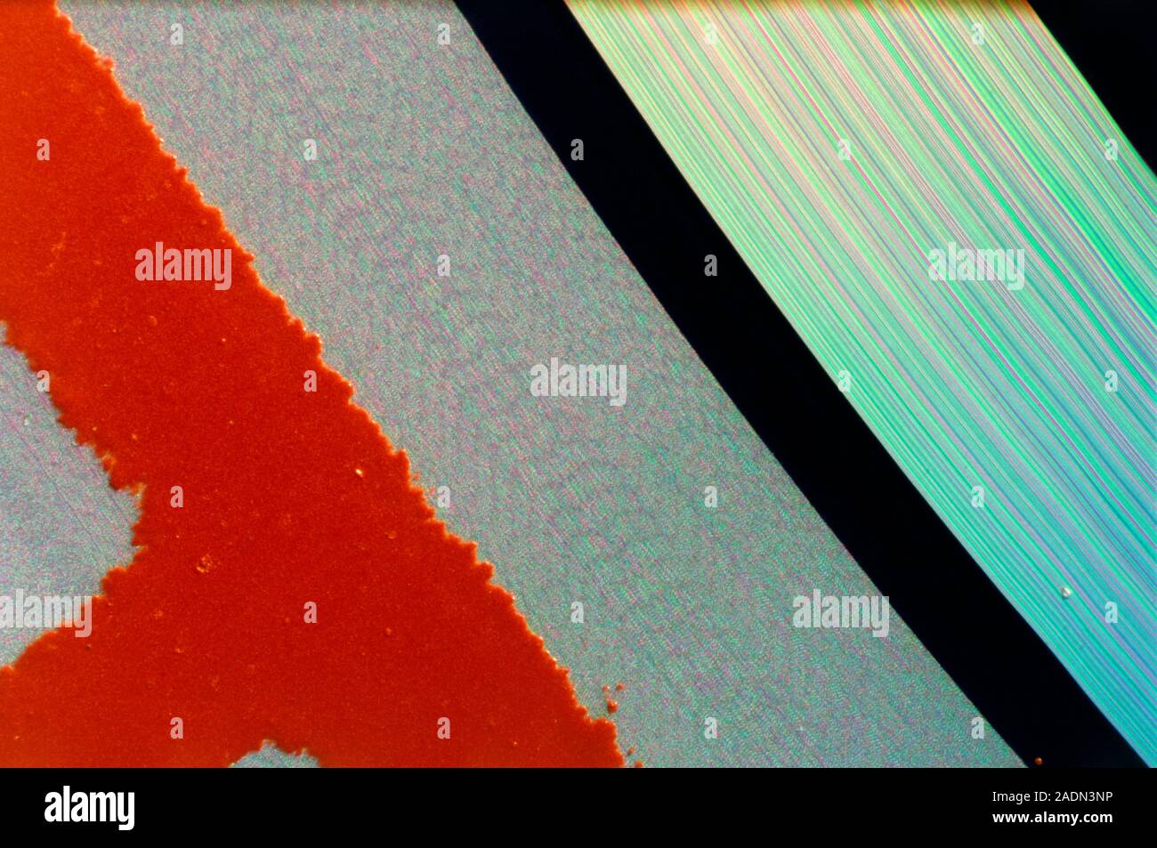 Light micrograph of a compact disc showing the diffraction of light ...