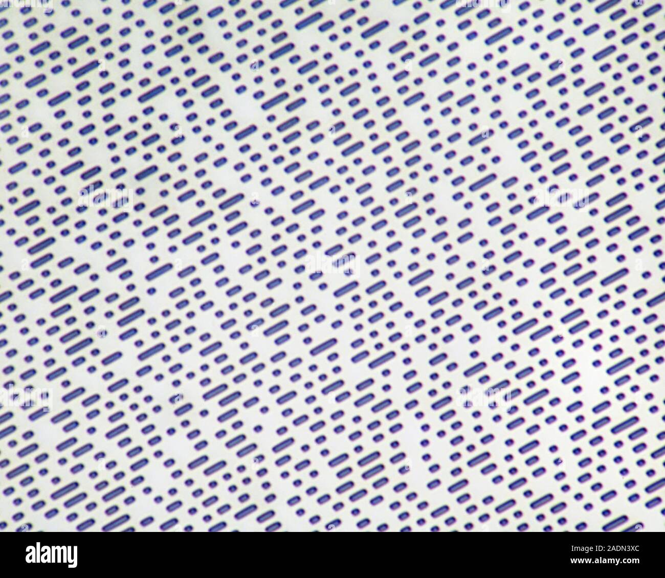 Optical disc surface. Light micrograph of the surface of an optical ...