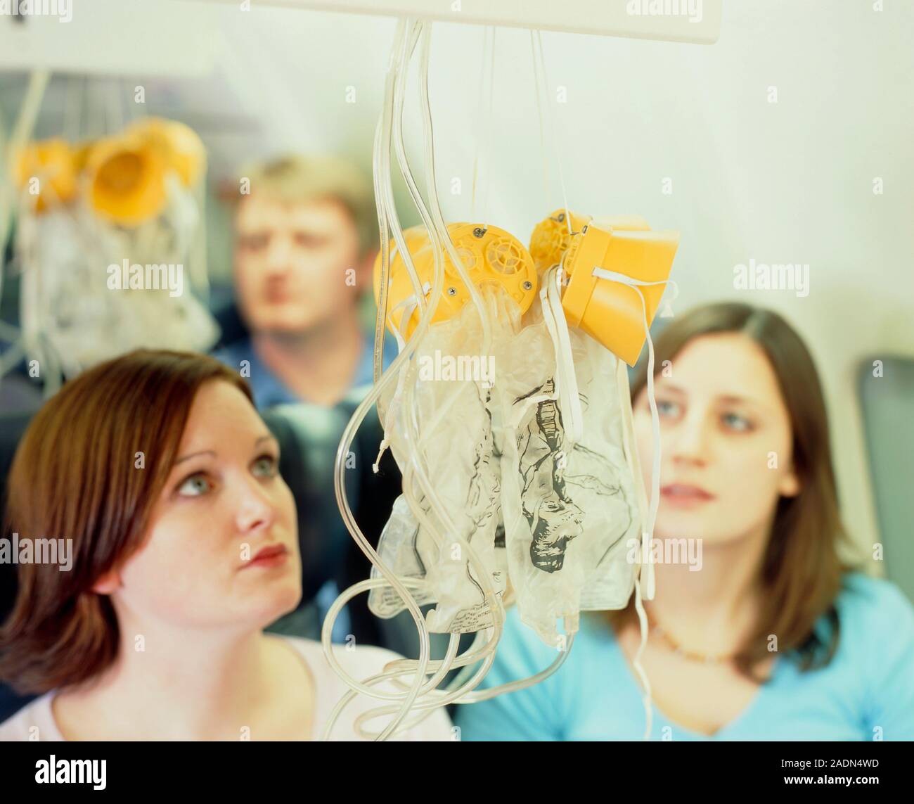 Airliner oxygen masks. Passengers on a commercial passenger jet about ...