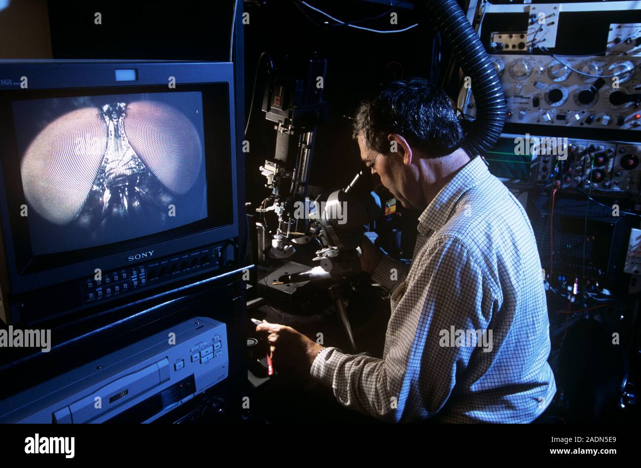 Drone vision research. Researcher using a microscope (output seen on ...
