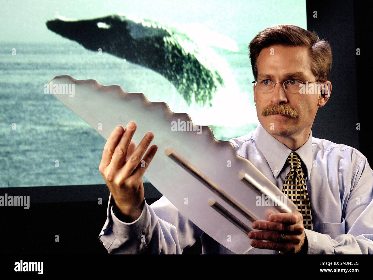 Researcher with model whale flipper. Engineer Laurens Howle from Duke ...