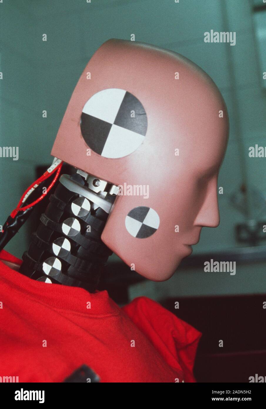 Crash test dummy known as BioRID. BioRID (biofidelic rear impact dummy ...