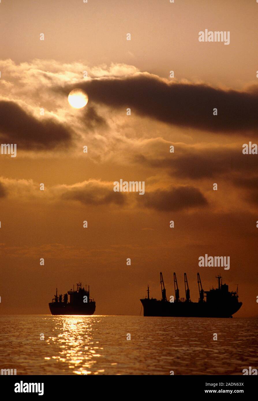 Maritime sunset. Cargo ships seen in silhouette against a copper ...