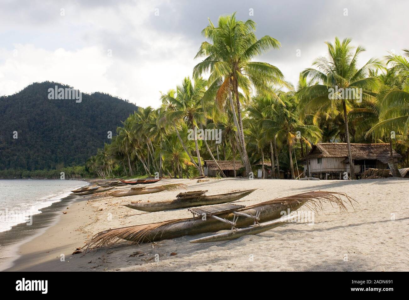 Outrigger canoes on a beach. Each canoe is made from a single hollowed ...