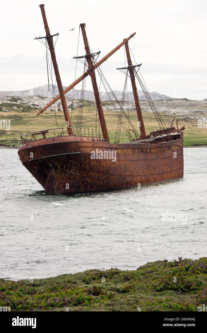 Wreck of the Lady Elizabeth in Whalebone Cove, near Port Stanley, the ...