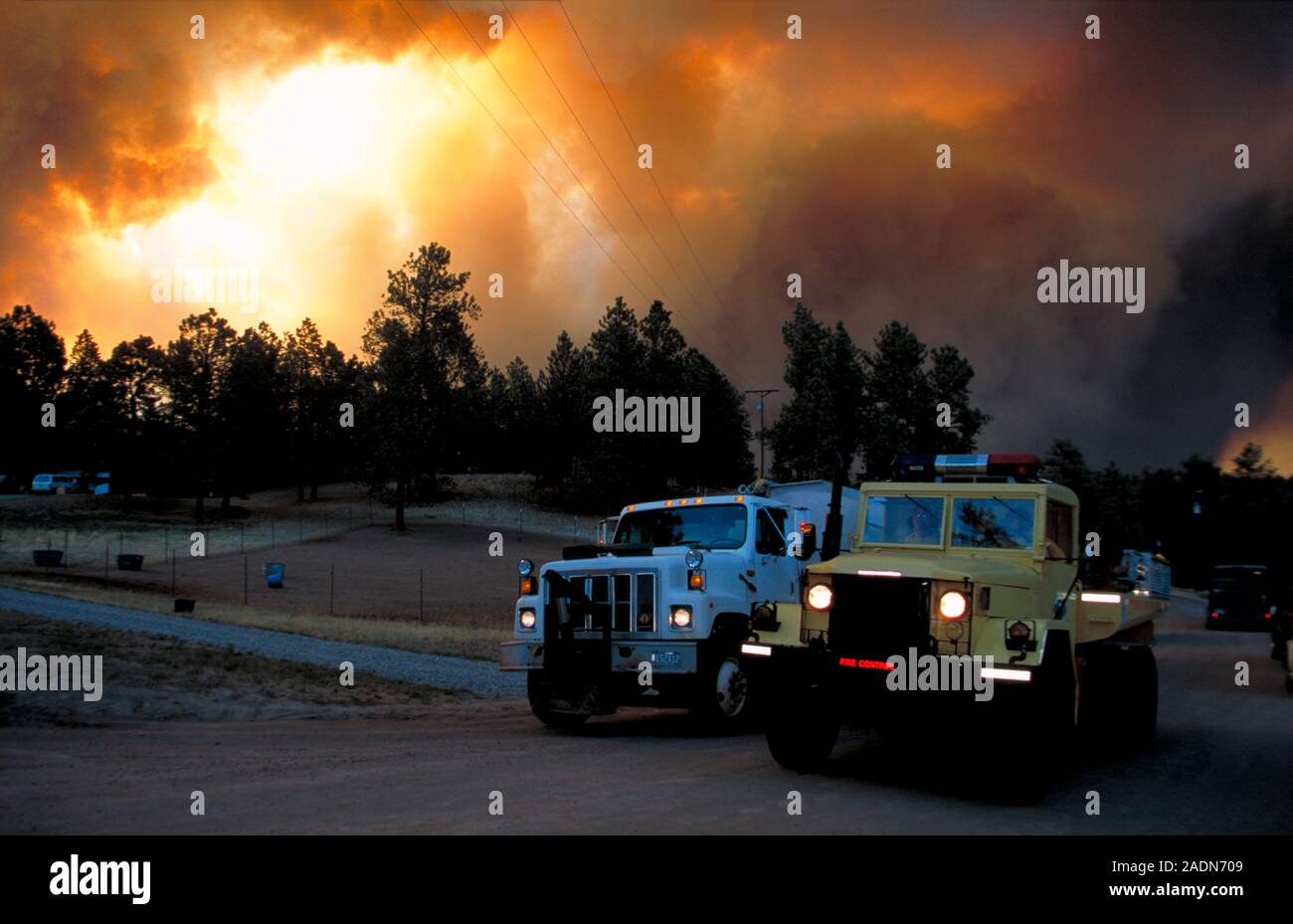 Emergency fire services. Two fire trucks at the scene of a forest fire ...