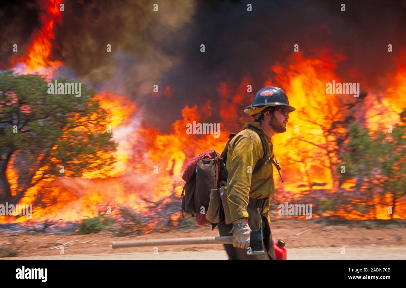 Firefighter. A firefighter walks along a firebreak as a forest fire ...