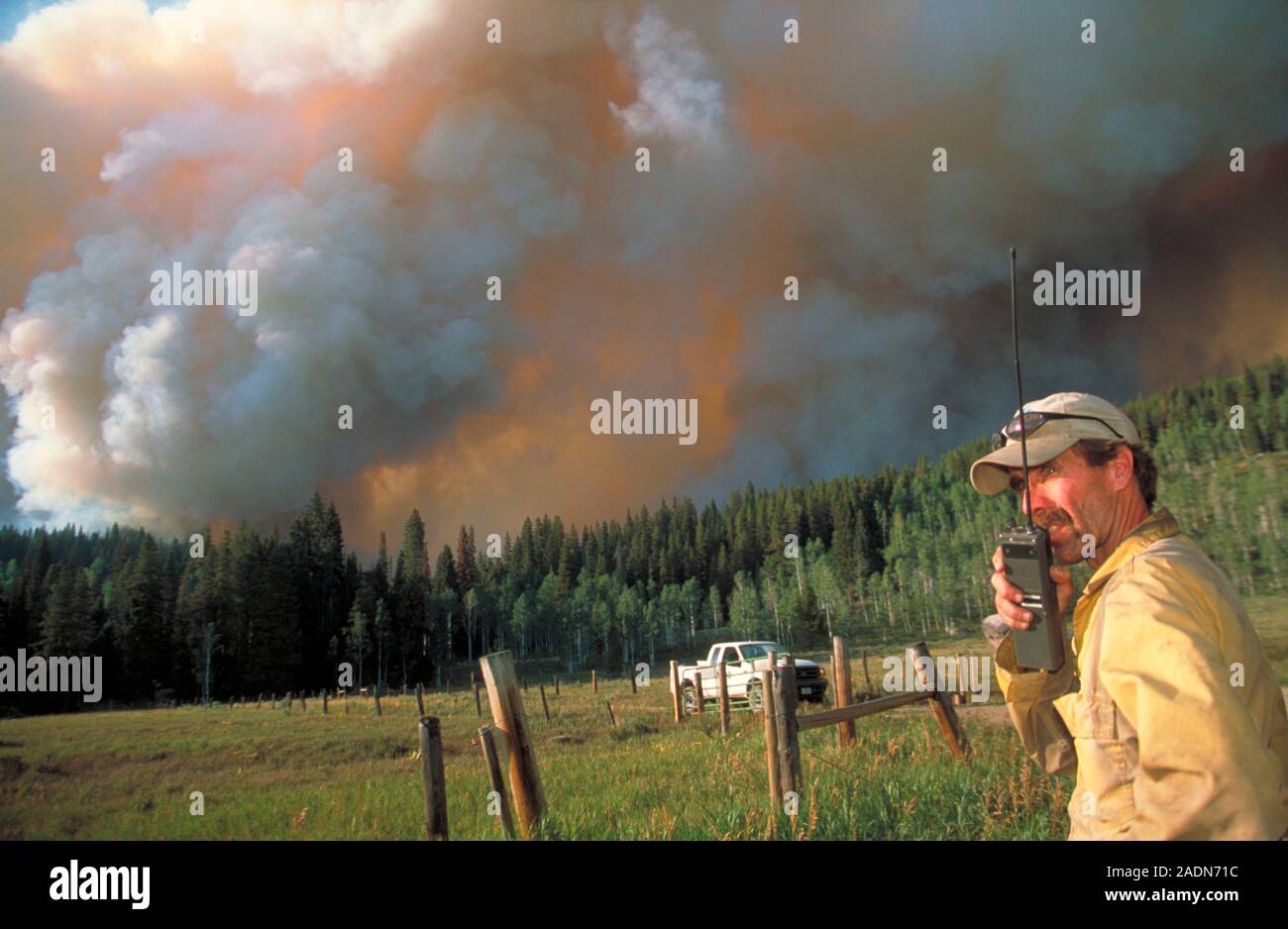 Forest fire. A firefighter communicates on his radio walkie-talkie as a ...