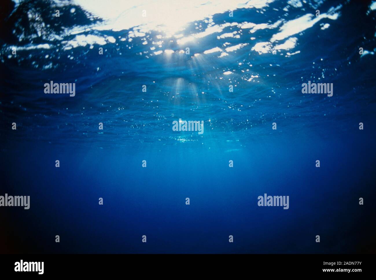 Sunlight underwater. Sun's rays seen from beneath the surface of the ...