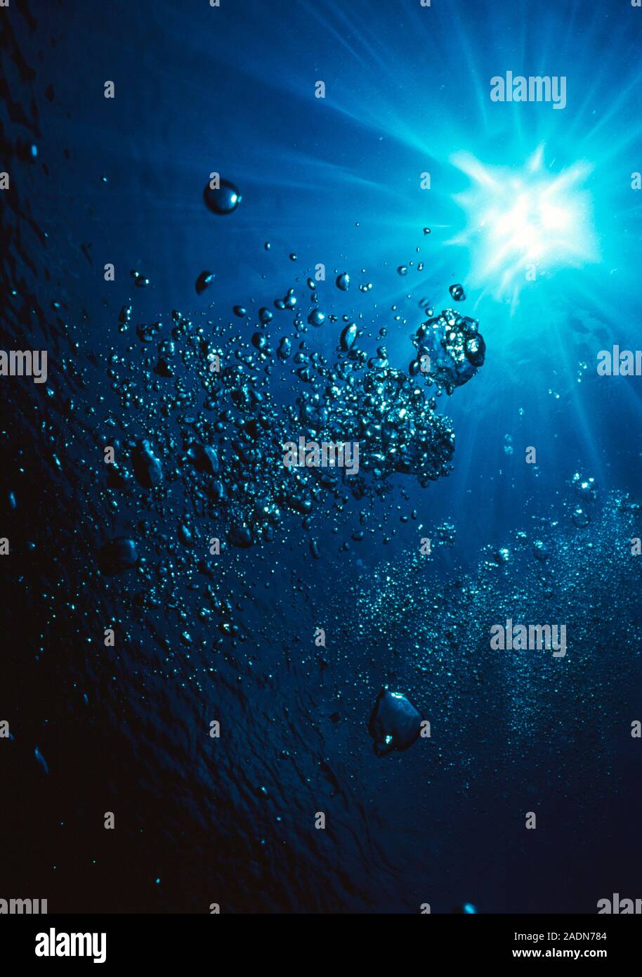 Bubbles underwater. Air bubbles released from the breathing apparatus ...