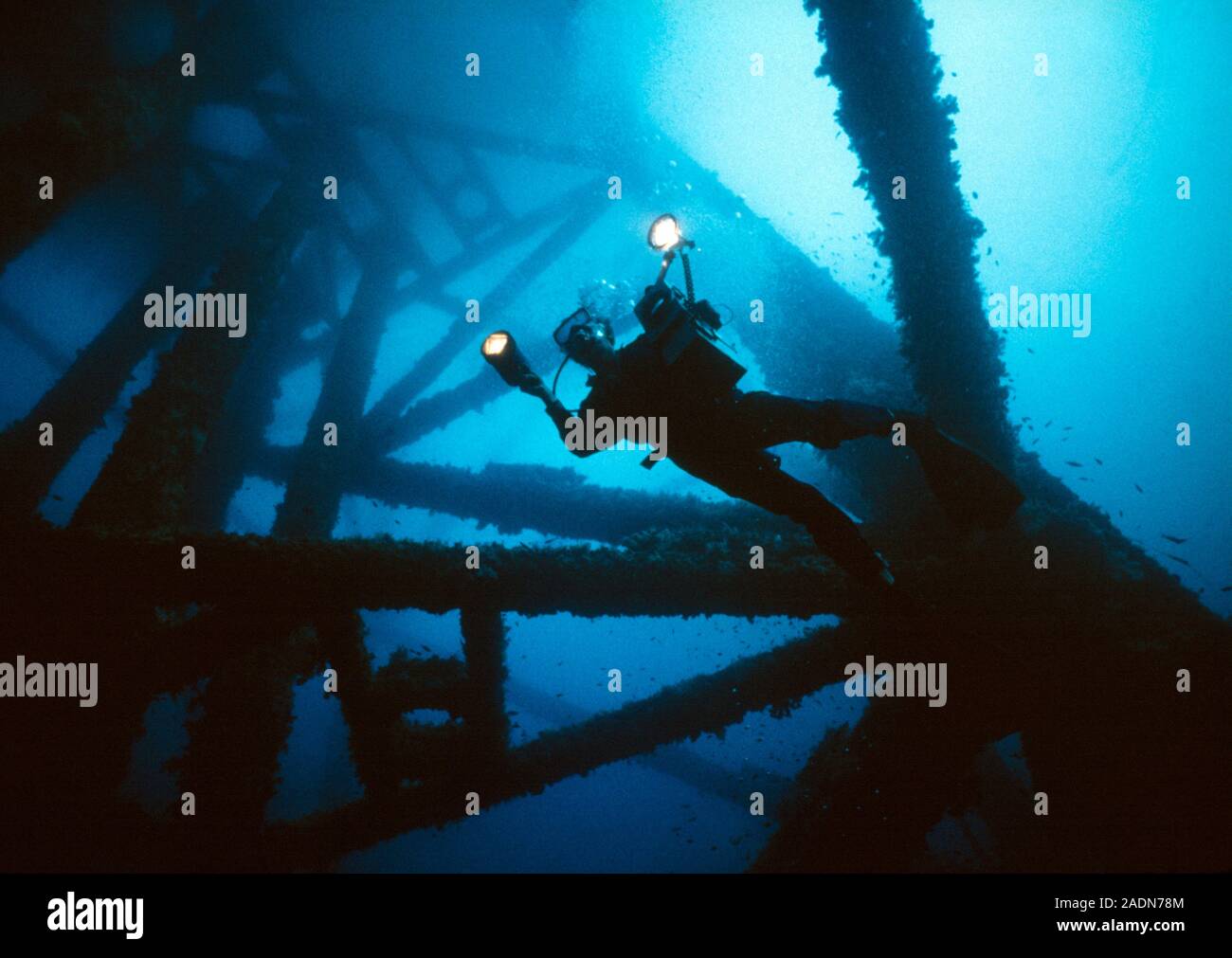 Scuba diver. Diver inspecting the submerged structure of an oil ...
