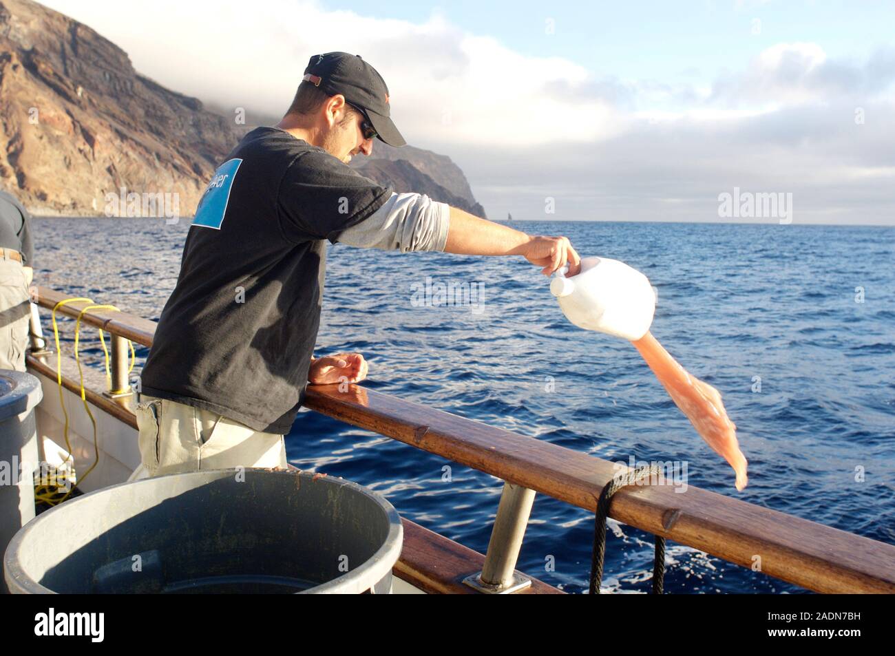 Shark tourism. Man on boat throwing fish parts and blood, known as chum ...
