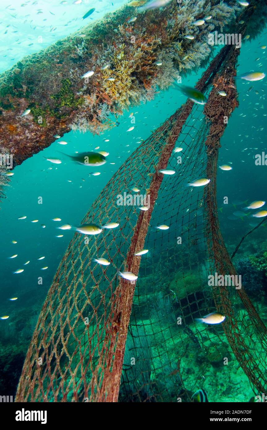Shipwreck. Old fishing net entangled over part of a shipwreck. Fish can ...