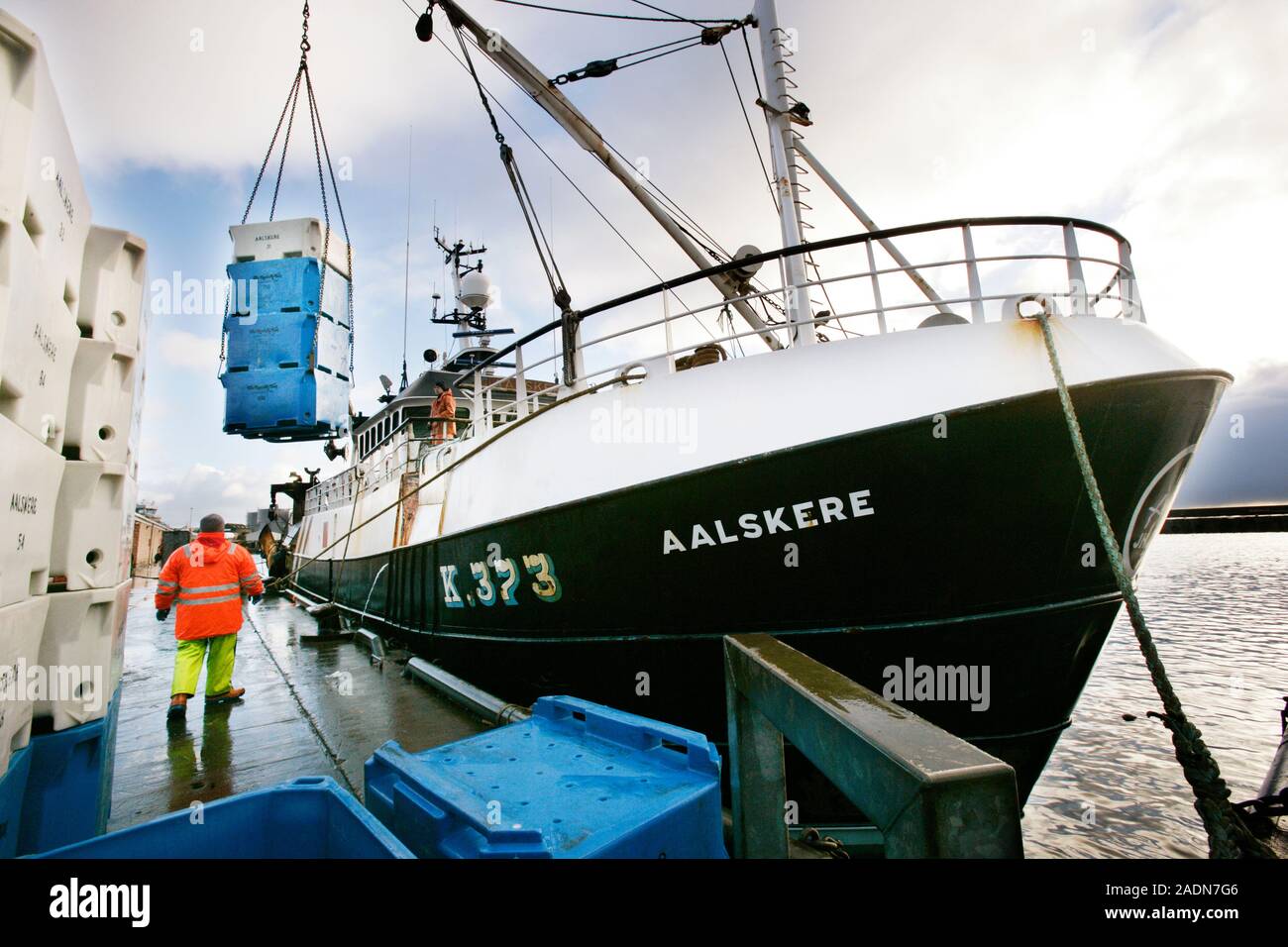 Fishing boat unloading. Trawler unloading its catch of 'white fish' at ...