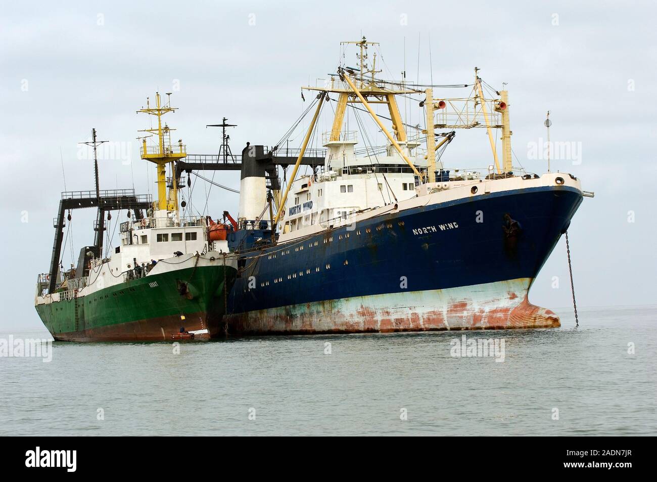 Fishing trawlers. Trawling is a method of fishing that involves pulling ...