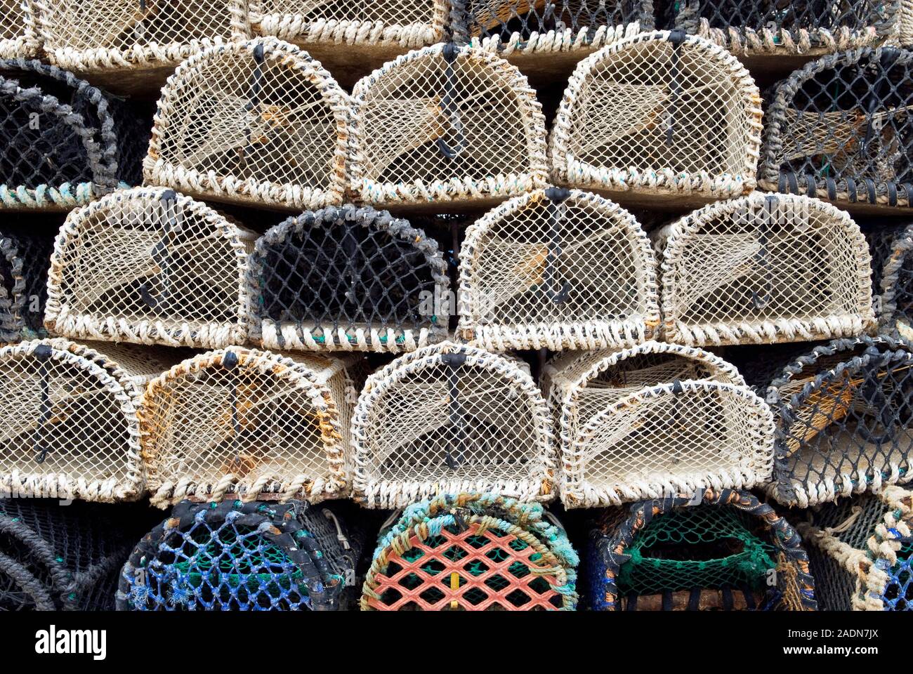lobster pots on a quay. These traps are a traditional method of ...