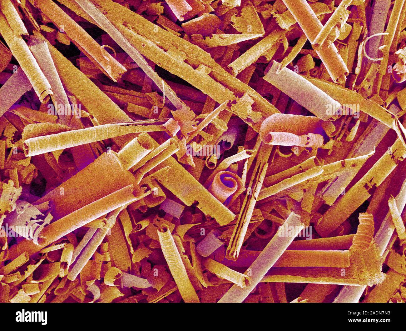 Metal shavings. Coloured scanning electron micrograph (SEM) of metal ...