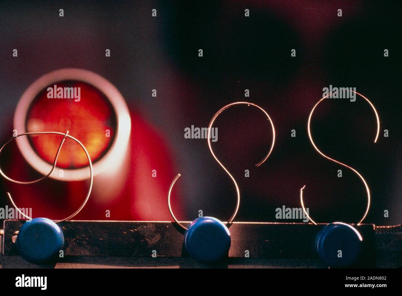 Memory metal. Second in a series of three images showing samples of a ...