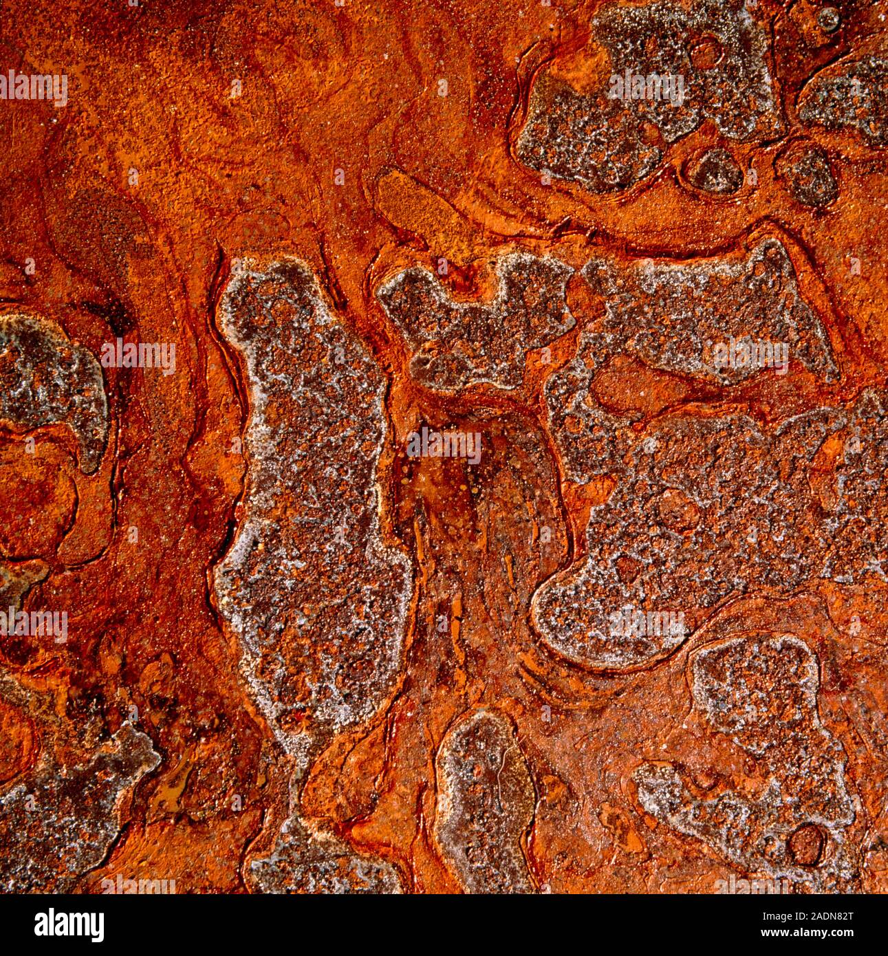 Rust. The effect of corrosion seen on a steel sheet. Rusting consists ...