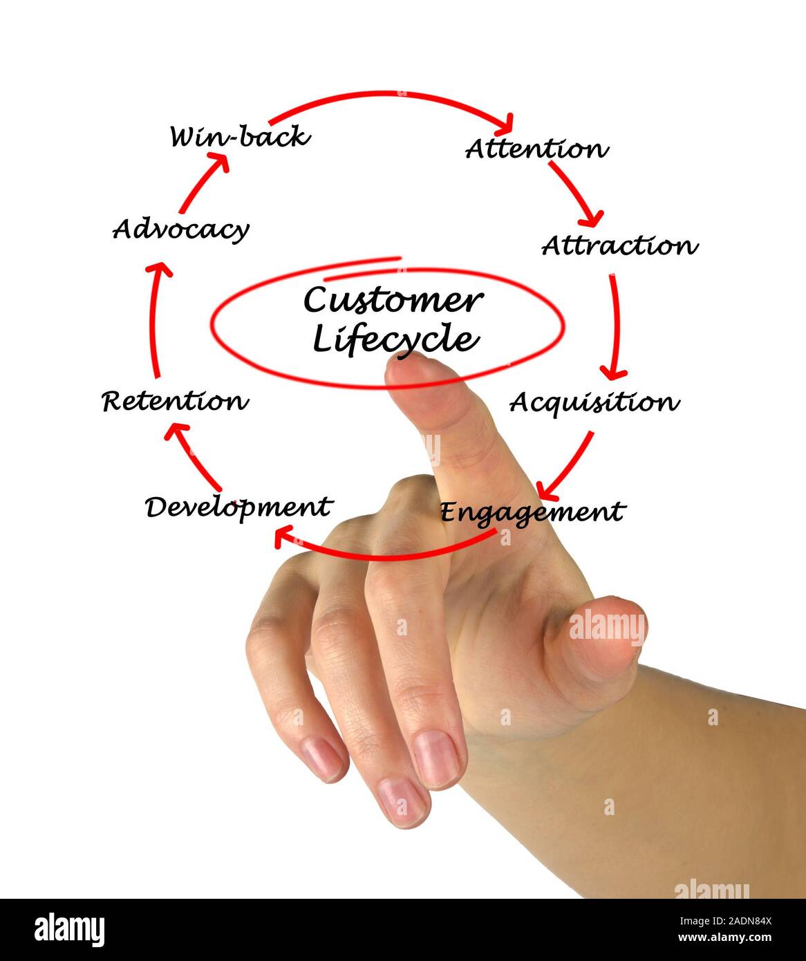 Customer Life Cycle Stock Photo - Alamy