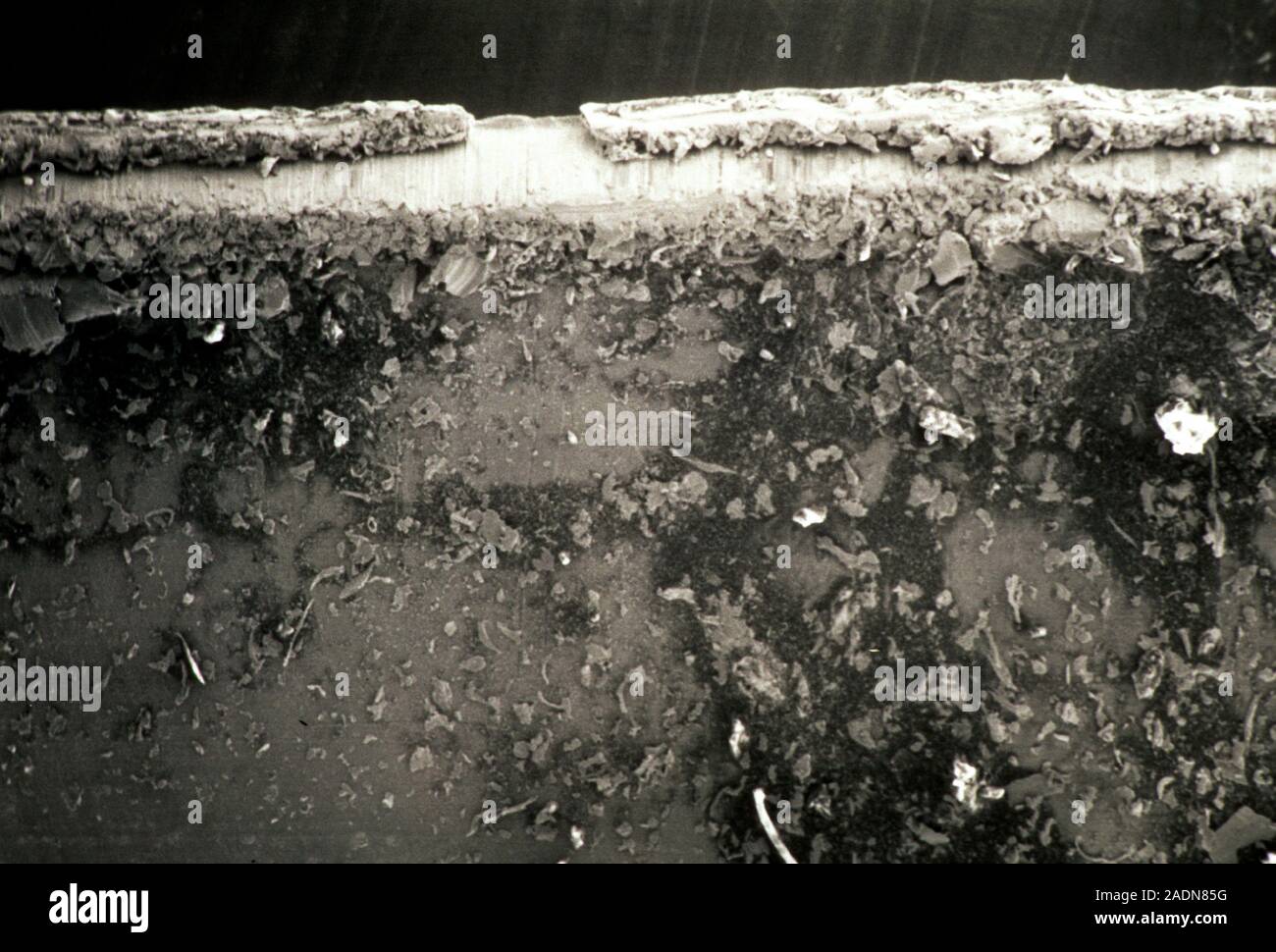 Copper tube deposits. Scanning electron micrograph (SEM) of deposits ...