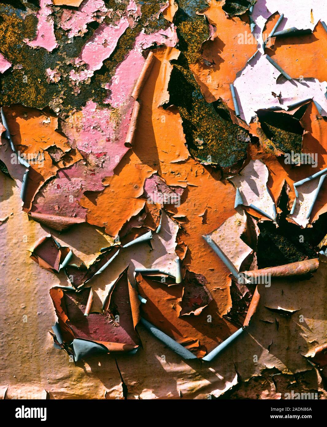 Peeling paint on rusting steel. Rust (iron oxide) is formed from the ...