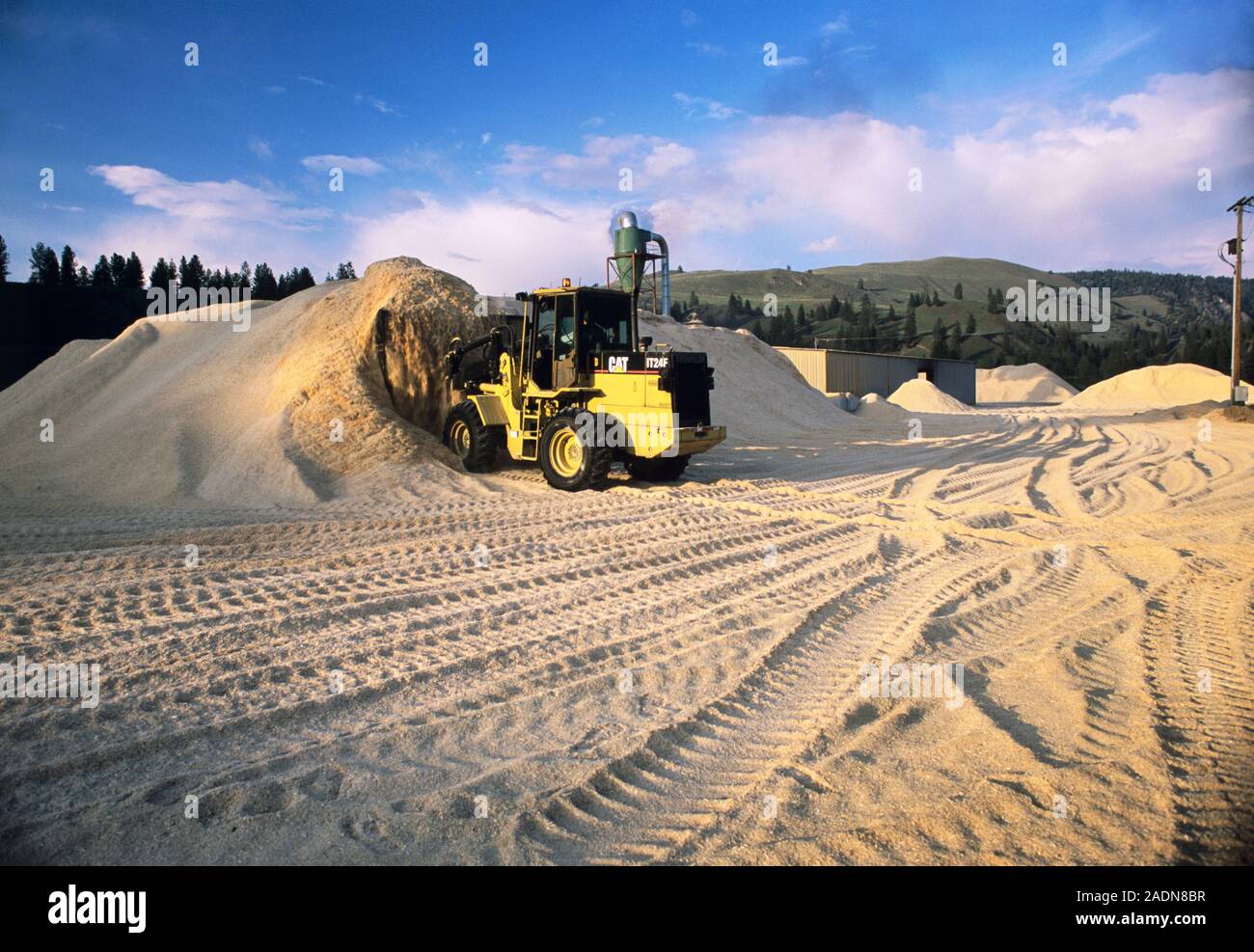 Sawdust at a sawmill. Tractor moving piles of sawdust and wood shavings ...