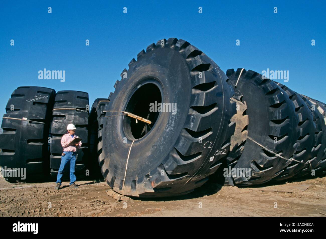 Tyres. These are the largest tyres produced in the world. They measure ...