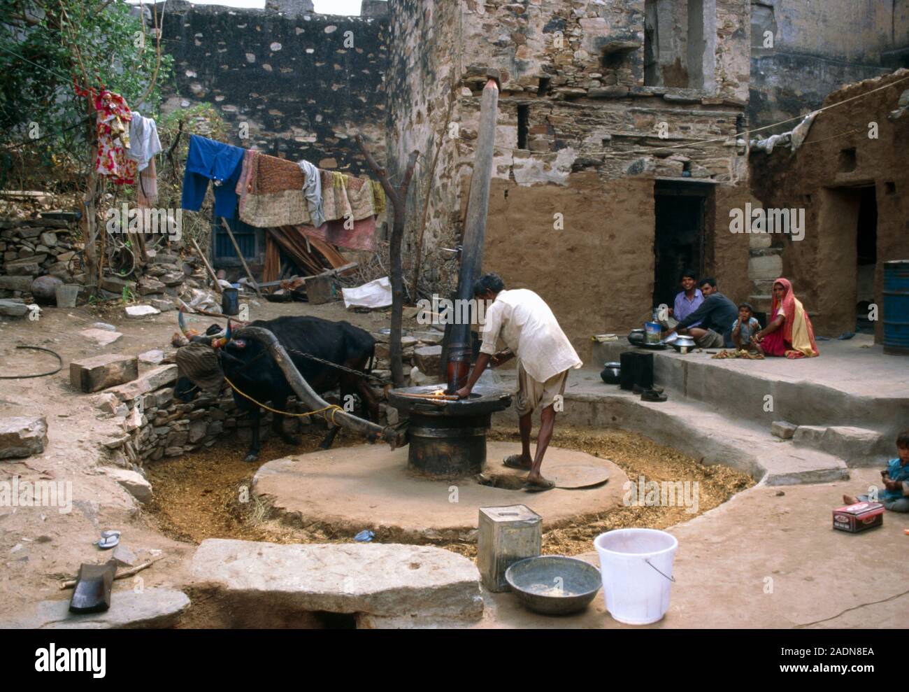 Traditional forge. Man carrying out metal work at an ox-powered forge ...
