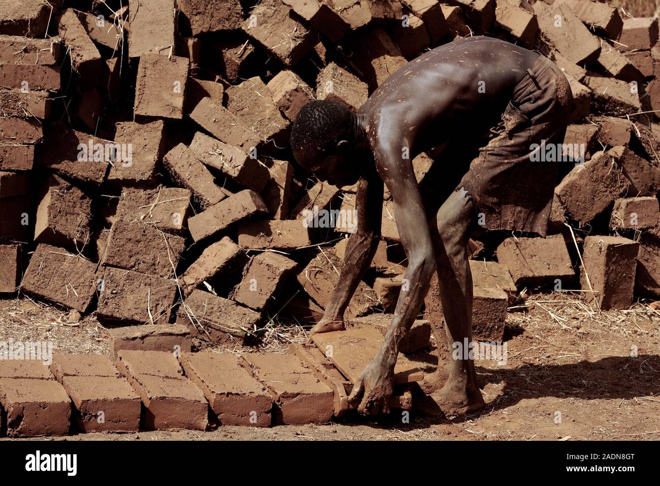 MODEL RELEASED. Making mud bricks. Man tipping out a mud block from a ...