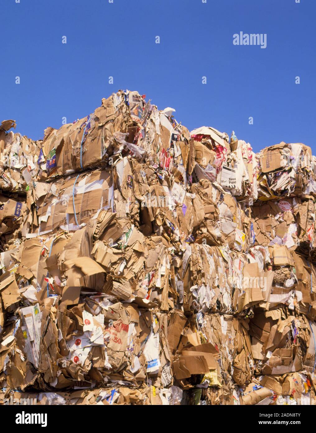 Paper bales for recycling. Stockpiled bales of paper and cardboard ...