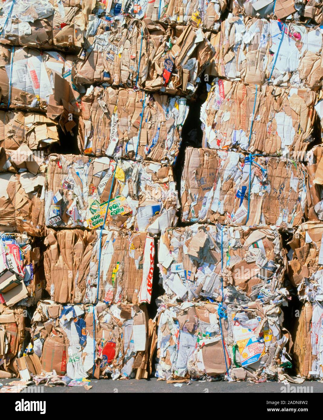 Paper bales for recycling. Stockpiled bales of paper and cardboard ...