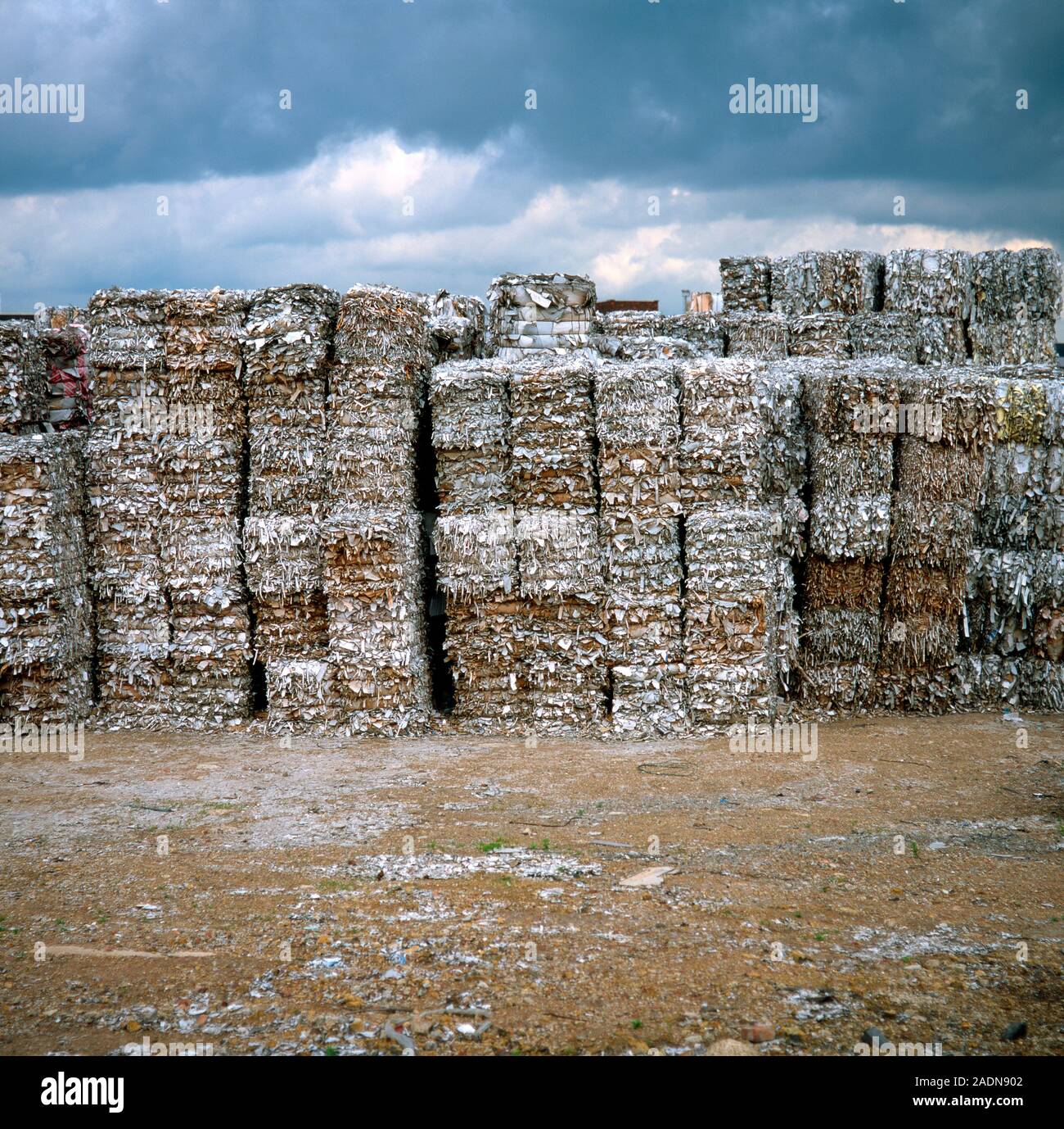 Paper recycling. Bales of paper waiting to be recycled. Low-grade ...
