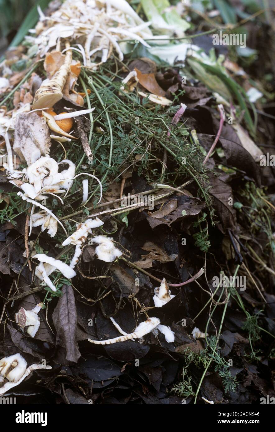 Compost heap. Garden and kitchen waste on a compost heap Stock Photo ...