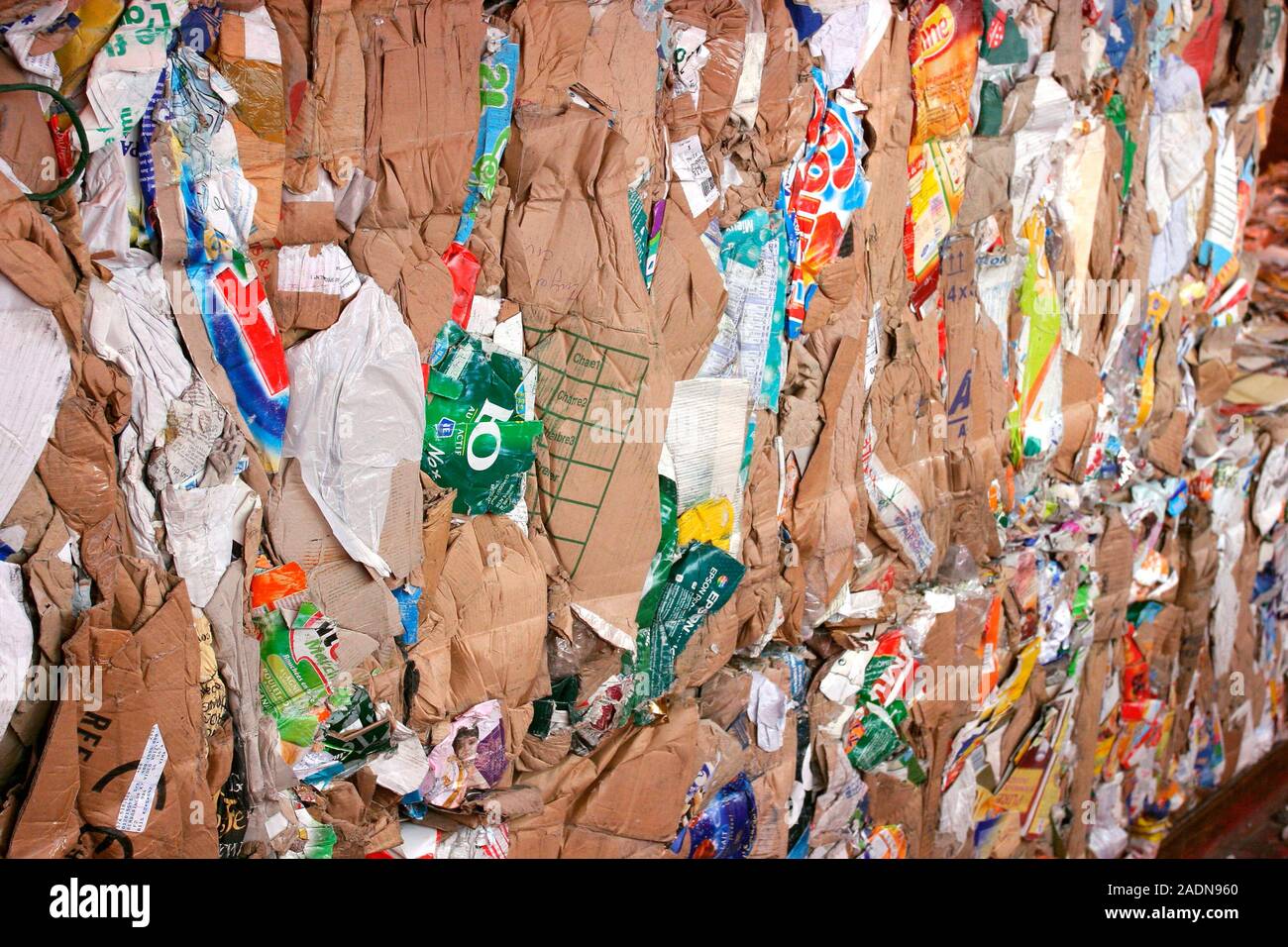 Recycling domestic waste. Compacted bundles of cardboard ready for ...