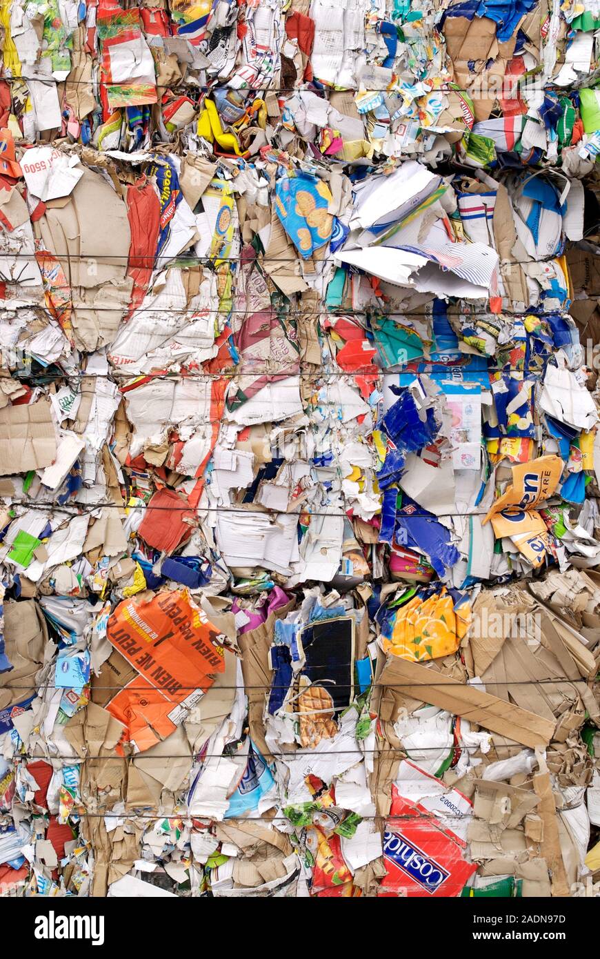 Paper recycling. Compacted paper and cardboard ready to be recycled ...